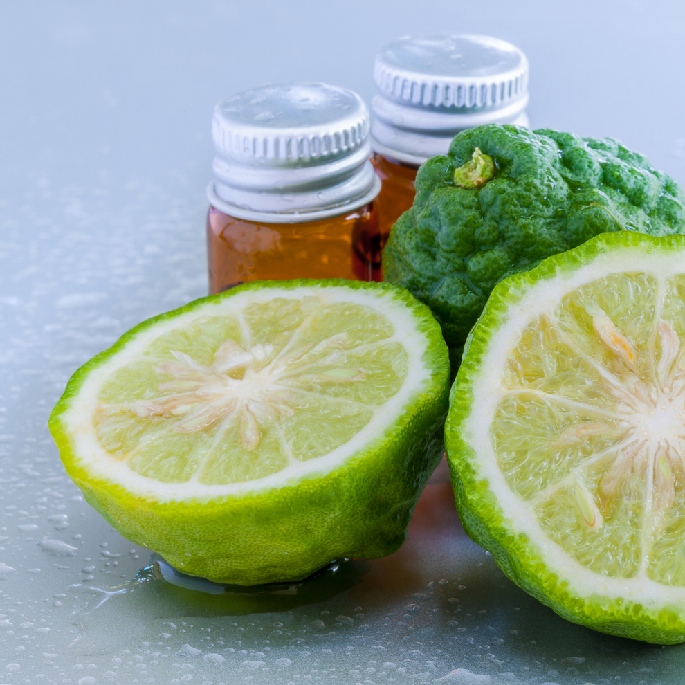 BERGAMOT Essential Oil – Paris Fragrances