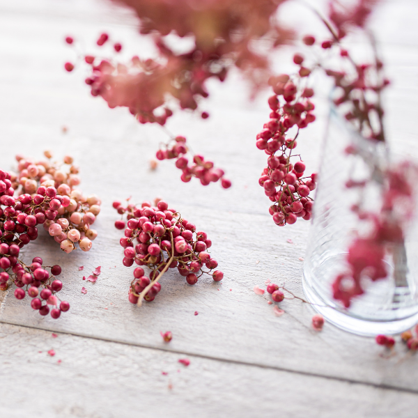 Pink Pepper Fragrance Oil – Paris Fragrances